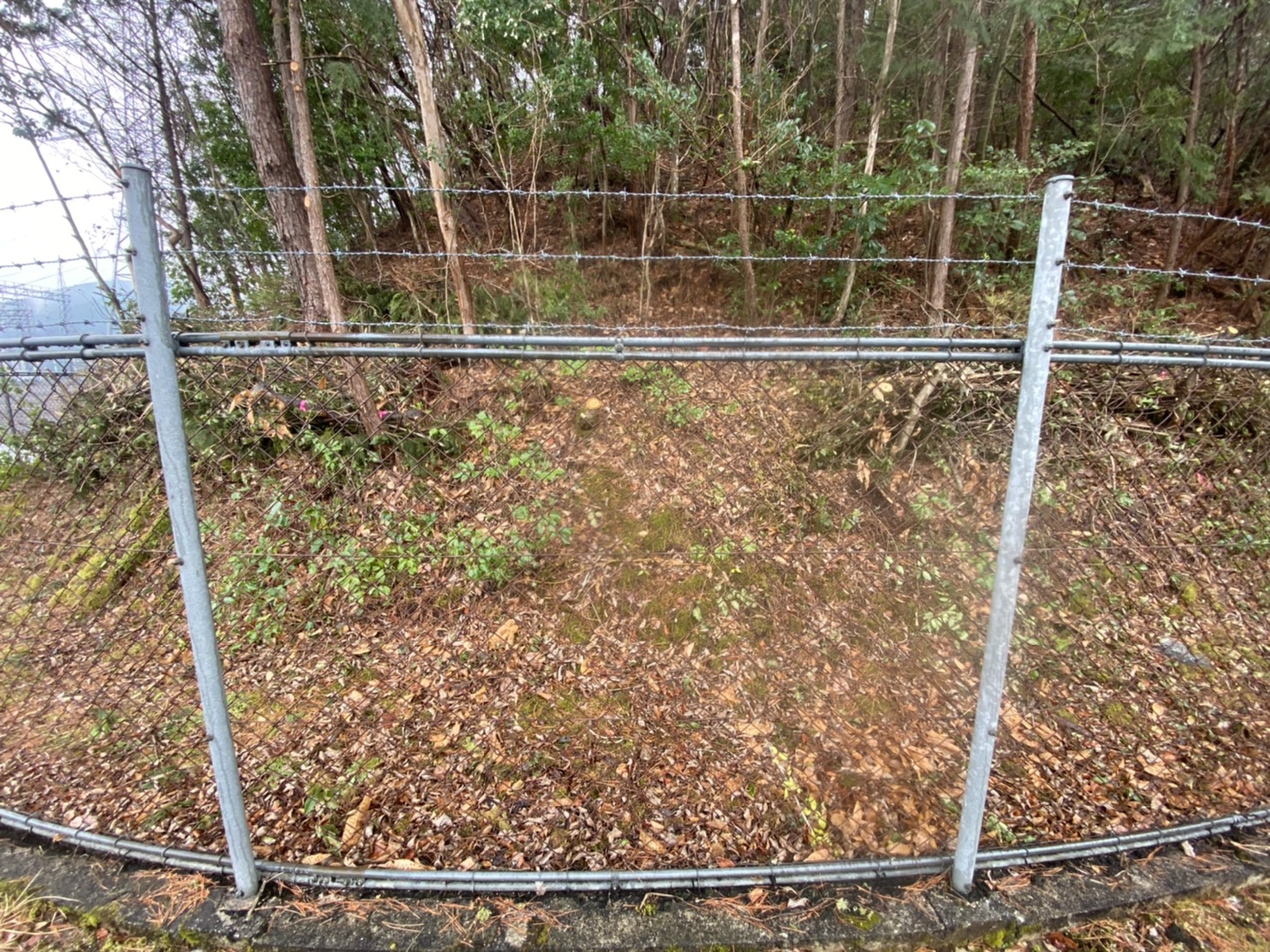 News - PROFENCE replaced 1000meters of rusty chain link fence